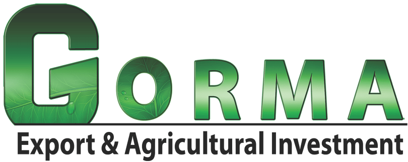 GORMA – Export & Agriculture Investment